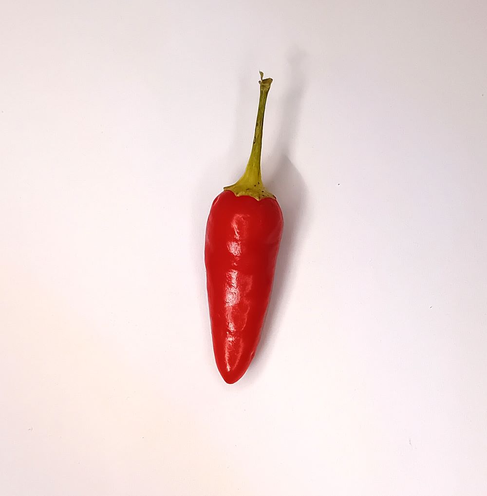 Seminţe de ardei Pequin Orange - Piata de Ardei Iuti